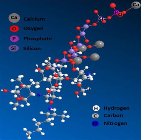 3 缩水甘油氧基丙基三甲氧基硅烷对含有 64s 生物活性玻璃、壳聚糖和明胶的可注射复合材料的流变学和体外行为的影响journal Of