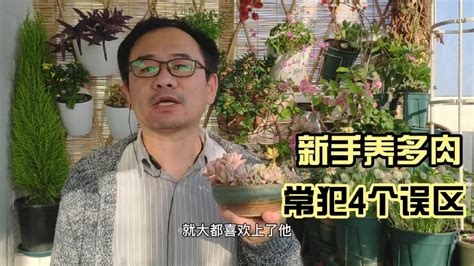 新手养多肉，常犯4个误区！不是多肉不好养！是你不了解它的习性！【莳花老刘】 Youtube