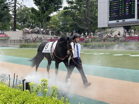 Tamtam🌗健康第一 On Twitter ゴンバデカーブース 優勝！デビュー戦を見事勝利で飾ってくれました。戦前の不安要素はどこへ行っ