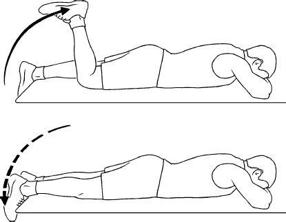Knee Flexion Exercises And Conditions Total Transformation
