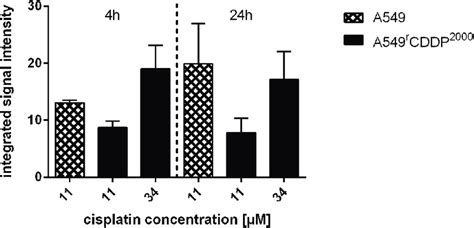 Cisplatin Dna Adduct Formation Content Of Dna Adducts N 3 In A549 Download Scientific