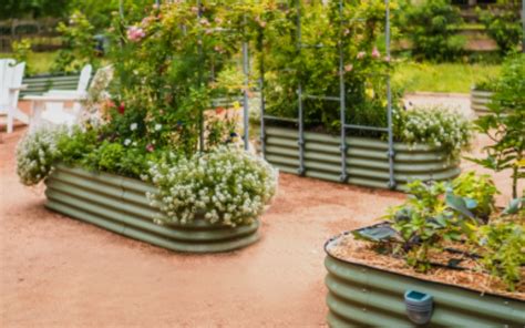 Elevate Your Garden Exploring Galvanized Raised Bed Planters