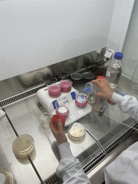 Mastering The Microbiological Safety Of Your Medical Devices Acm Pharma