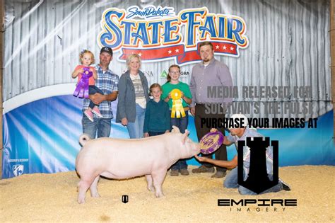 South Dakota State Fair 4 H Breeding Gilts The Pulse