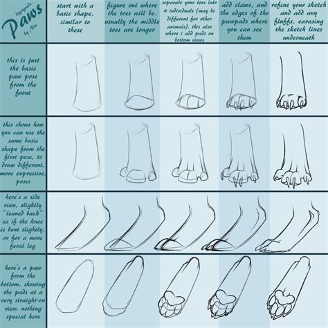 Digitigrade Paw Tutorial By Allinix On Deviantart