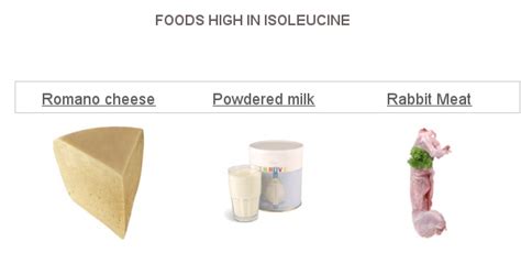 Foods High In Isoleucine