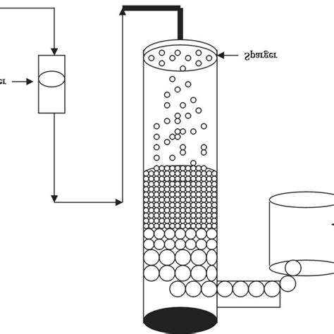 Schematic Of The Foam Fractionation Process Download Scientific Diagram