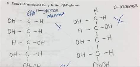 Solved Draw D Mannose And The Cyclic For Of Beta D Glucose