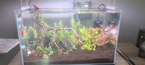 Optimal Co2 Diffuser Placement R Plantedtank