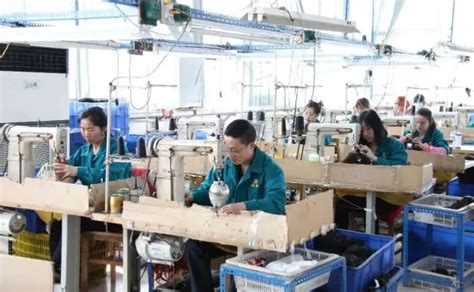 Factory Direct Hibiscus Hair