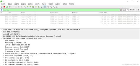 Is Is详解（七）——is Is Lsp报文详解 Csdn博客