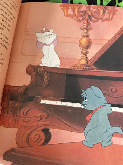 Two Aristocats Books Disney Amino
