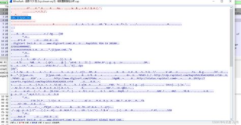 【红队apt】反朔源隐藏andc2项目andcdn域前置and云函数and数据中转anddns转发 csdn博客