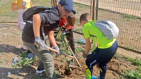 Alumnos de Lobres realizan junto a Medio Ambiente una plantación de