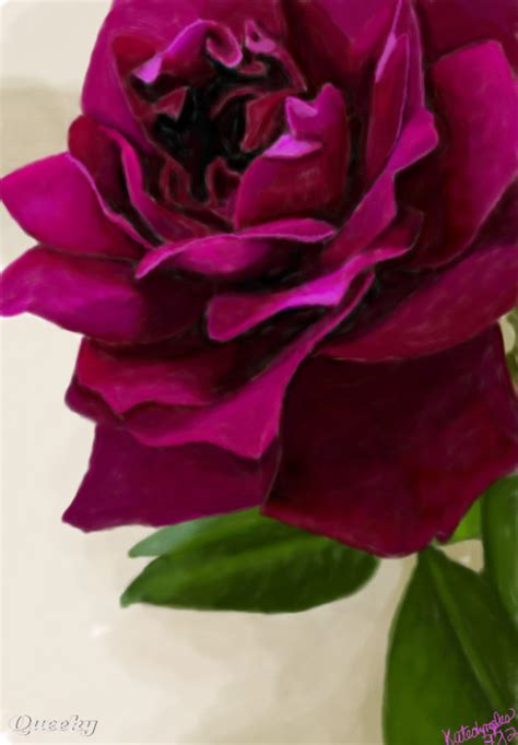 Raspberry Rose A Plants Speedpaint Drawing By Kutedymples Queeky Draw Paint