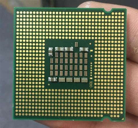 Pentium Socket 775 Tranet Biologia Ufrj Br