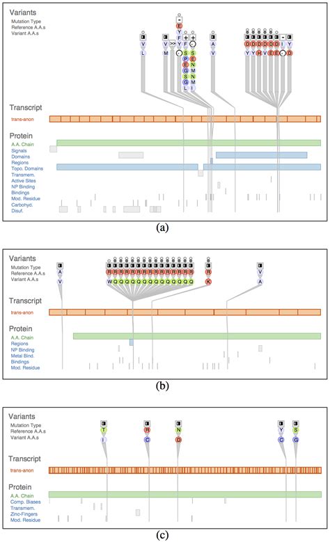 Variant View Visualizing Sequence Variants In Their Gene Context