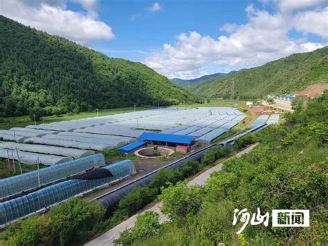 崇礼四台嘴乡成国家级全域森林康养试点建设乡张家口新闻网