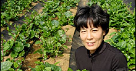 인디언시금치 국내재배 성공