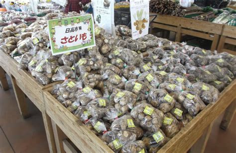 旬の野菜『里芋』『サツマイモ』を紹介します！ あぐれっしゅ日高中央 Jaいるま野
