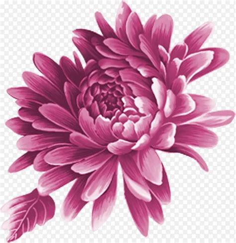 手绘粉色花卉创意图片PNG图片素材下载 图片编号yzkrnxlv 免抠素材网