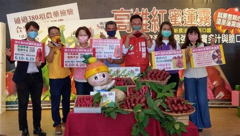 郭大哥「高雄紅蜜蓮霧」本季最後嘗鮮 創新農法 果實海綿體超紮實、甜度破表、果肉多汁、口感超脆爽甜