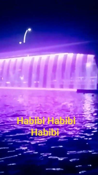 حبیبی حبیبی 🤠🤠🤠 Youtube