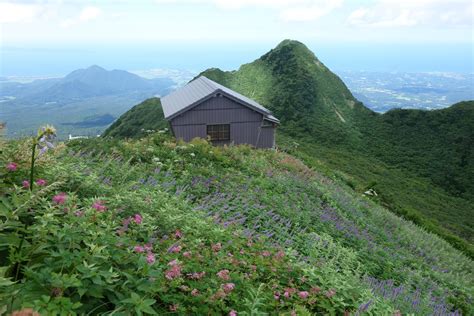 お花満開 伯耆大山ユートピア Tomoさんの登山の活動データ Yamap ヤマップ