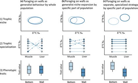 Schematic Overview Of Expected Results Under Different Scenarios A Download Scientific