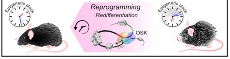 Weekly Reads Reprogramming Aging Astrocytes Cartilage Chatgpt The