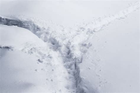 Path In The Snow Stock Image Image Of Plowing Backyard 145171691