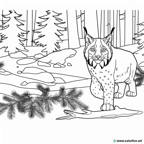 Coloriage Dun Lynx Dans La Forêt à Télécharger Ou à Imprimer Gratuitement