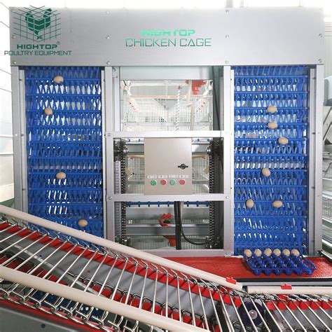 Hightop Farm H Type Automatic Galvanized Steel Egg Poultry Chicken Cage