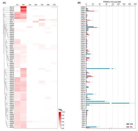 Transcriptome Profiling Of Euproctis Pseudoconspersa Reveals Candidate