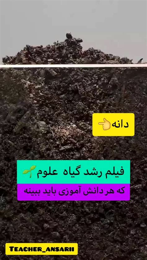 ‎فرزانه انصاریمعلم دبستان🥰🦋‎ ‎۳روش فوق العاده برای به خاطر سپاری
