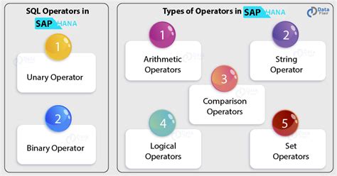 Sql Set Operators Working And Types Of Set Operators In Sql Hot Sex Picture