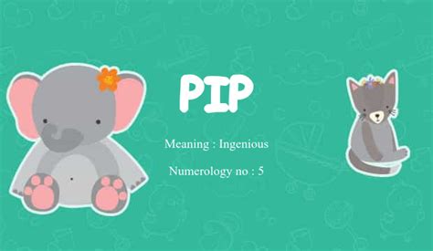 Pip Name Meaning