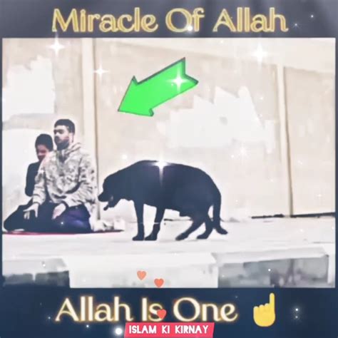 😱😱😱miracleofallah☝😰power Of Namaz Trending Viral Shorts Ytshorts