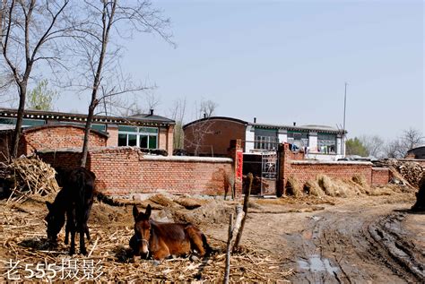 【东北农村的一个角落 台安县摄影图片】台安县风光摄影 新555 太平洋电脑网摄影部落