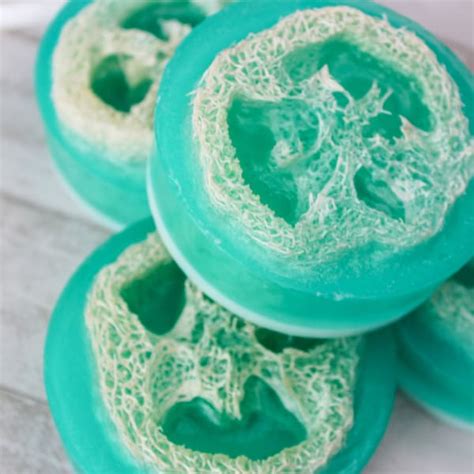 Loofah Soap Etsy