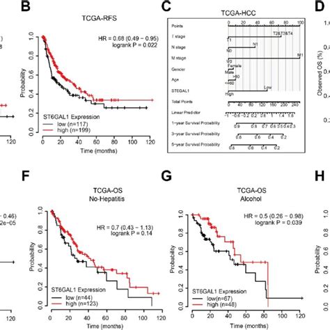 The Correlation Between St6gal1 Mrna Expression And Hcc Patients