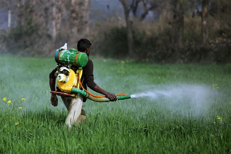 Study Bee Harming Pesticides In 75 Of Honey Worldwide EURACTIV