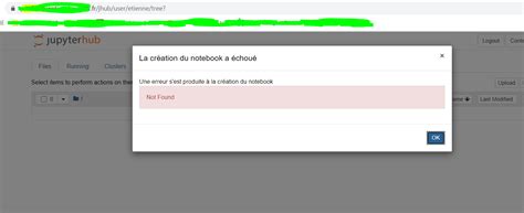 Jupyterhub Deployed With Docker Behind Apache Proxy Get Blocking Cross