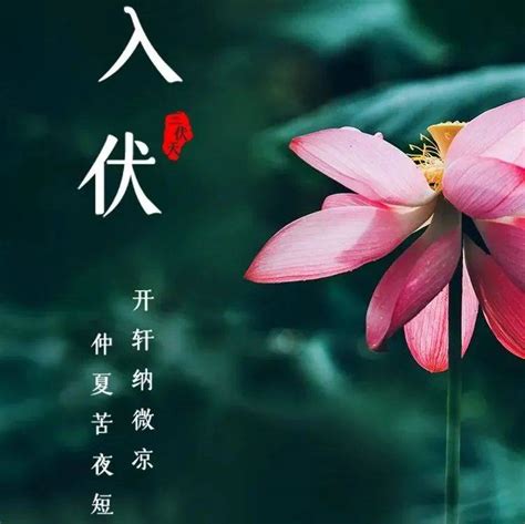 入伏，40天！补充市气象局时段