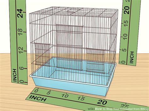 4 Ways To Stop Your Cockatiel From Biting Wikihow