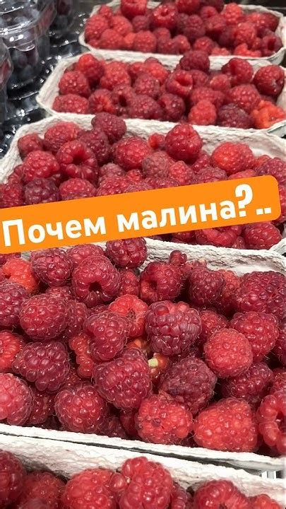 Сколько стоит малина в Польше? В сезон - YouTube