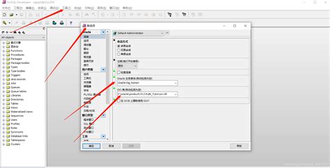 plsql 登录时弹出 没有登录 空白提示框 亲测有效 源码巴士