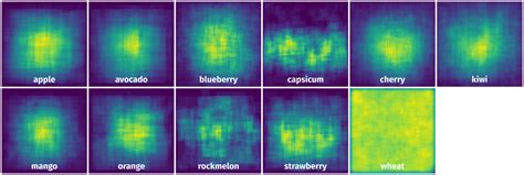 Deepnir Fruit Detection Dataset Ninja