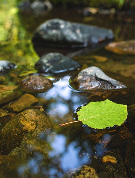 Jaylis Naturkosmetik Sanft Wirksam Ehrlich Jaylis De