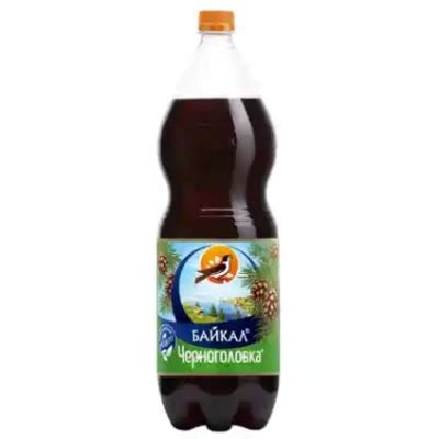 Drink Chernogolovka Baikal 2L – Baltic Supermart